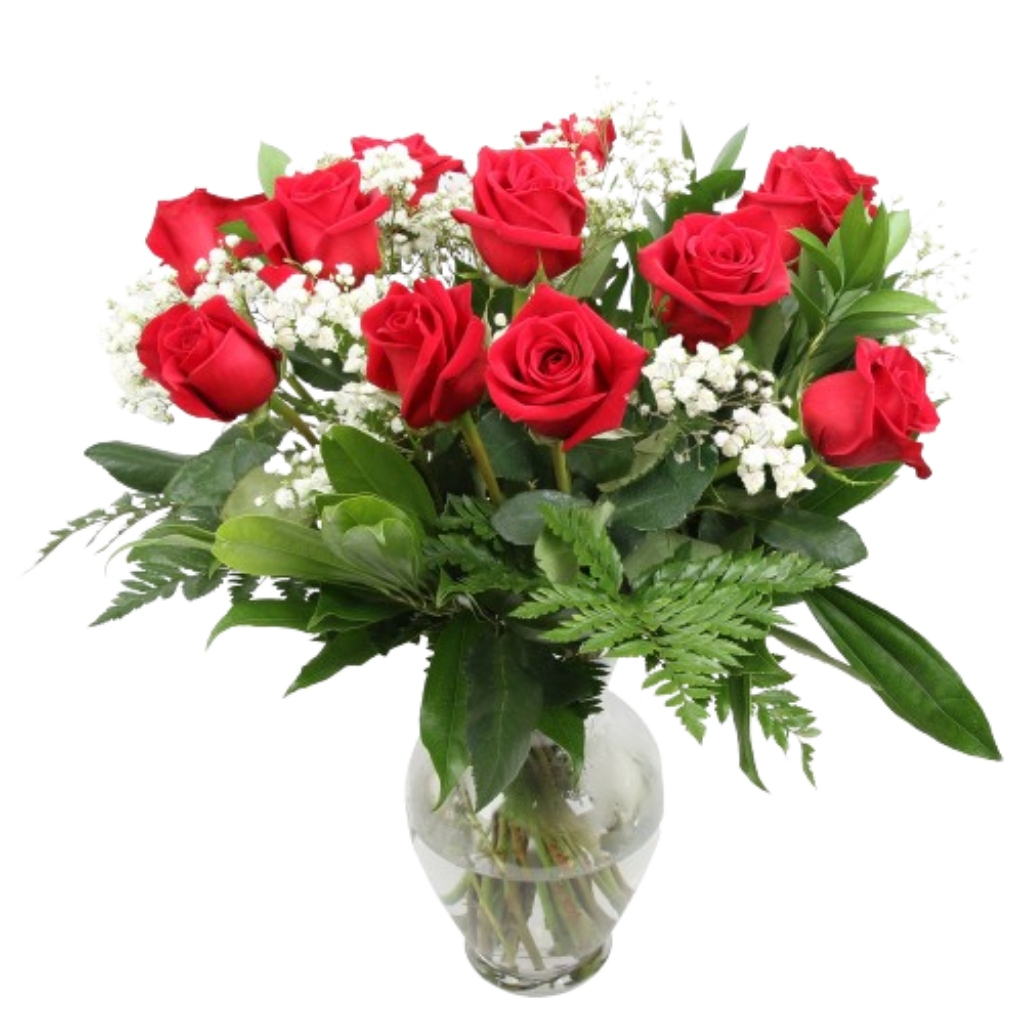 Dozen Roses - Red | Schnucks