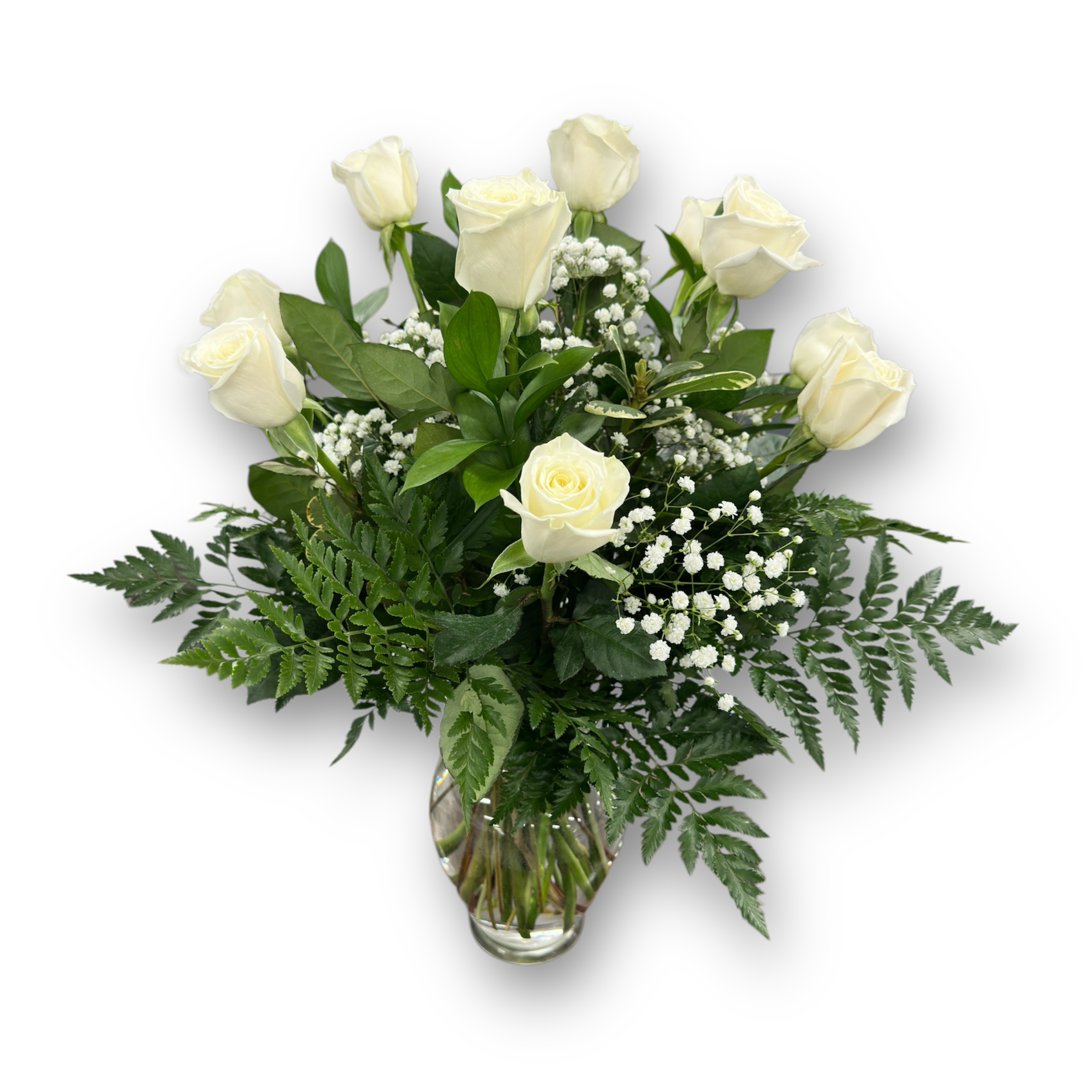 White Dozen Rose | Schnucks